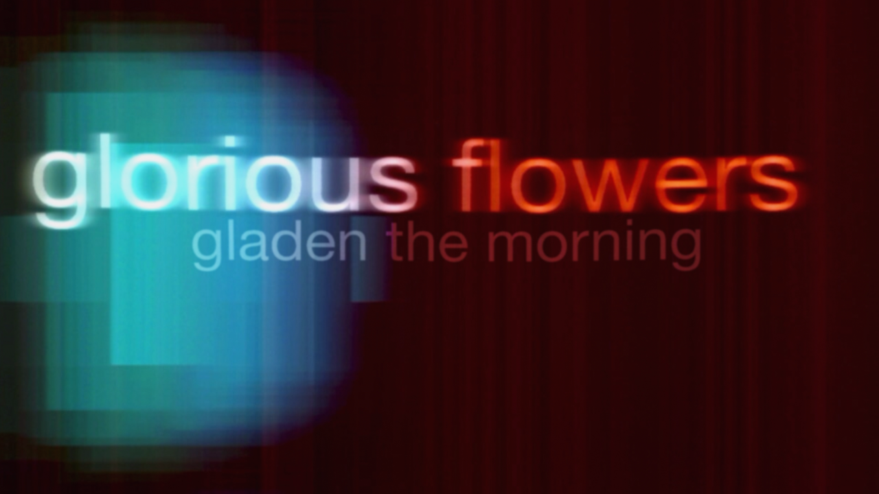 Beth Warshafsky – Holocenter