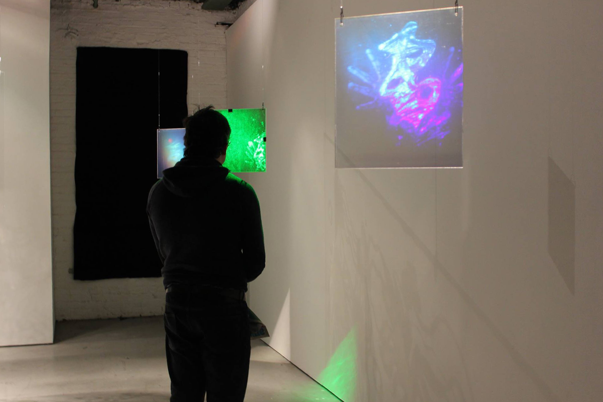 HOLONOMIC – holocenter