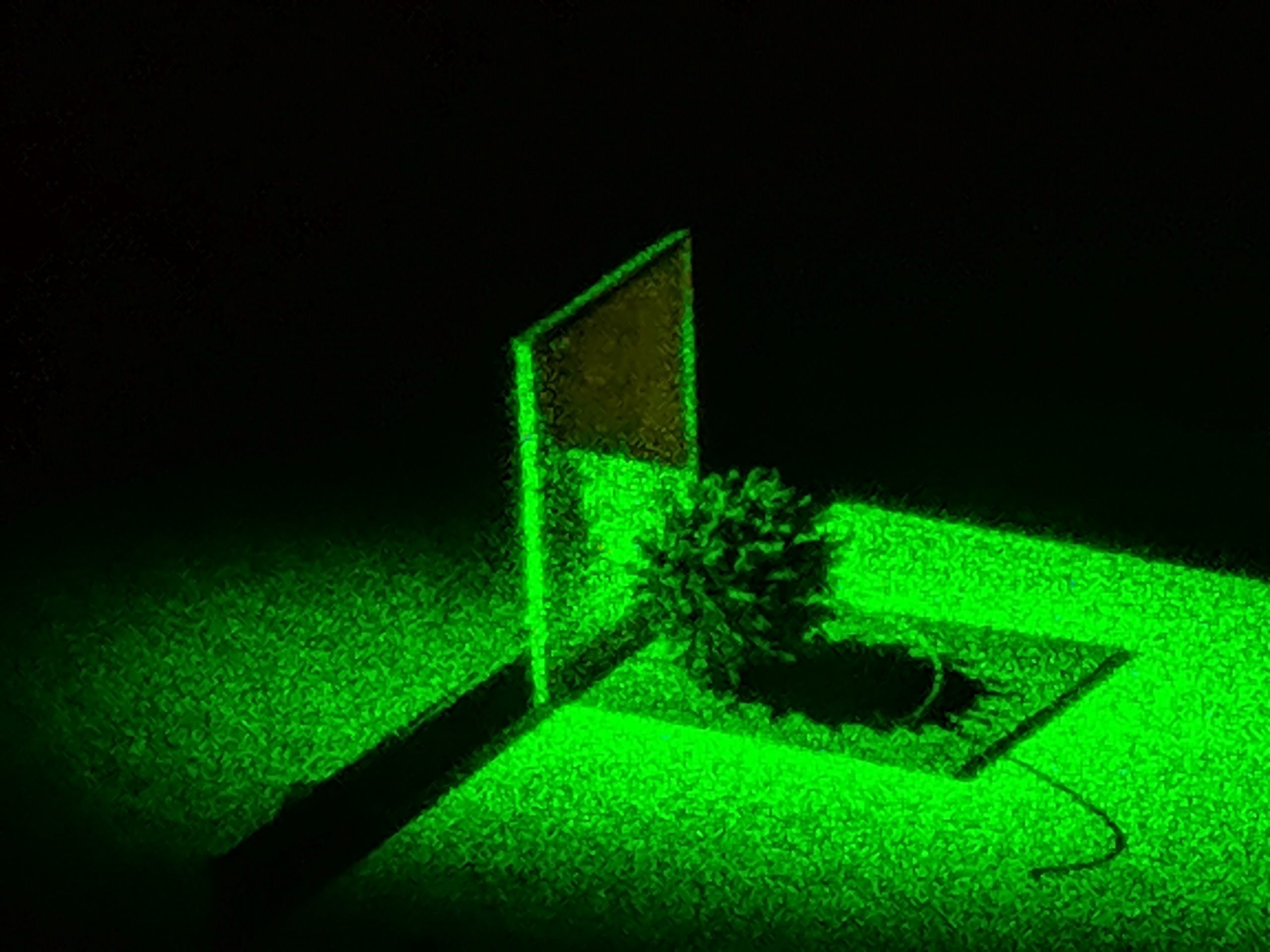 How Are Images Recorded In A Hologram Holocenter