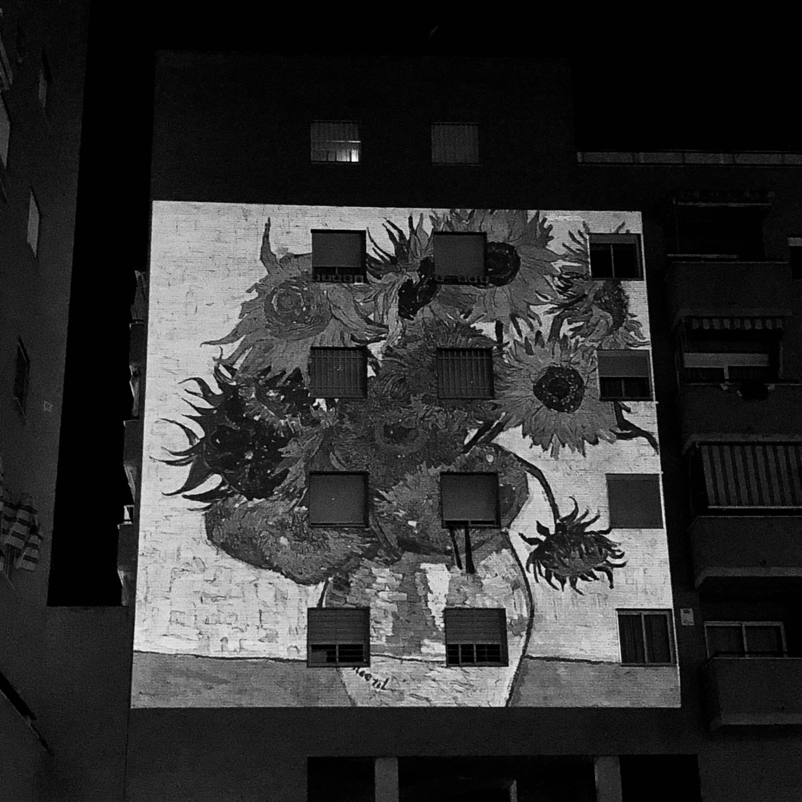 Daniel Franca – Holocenter