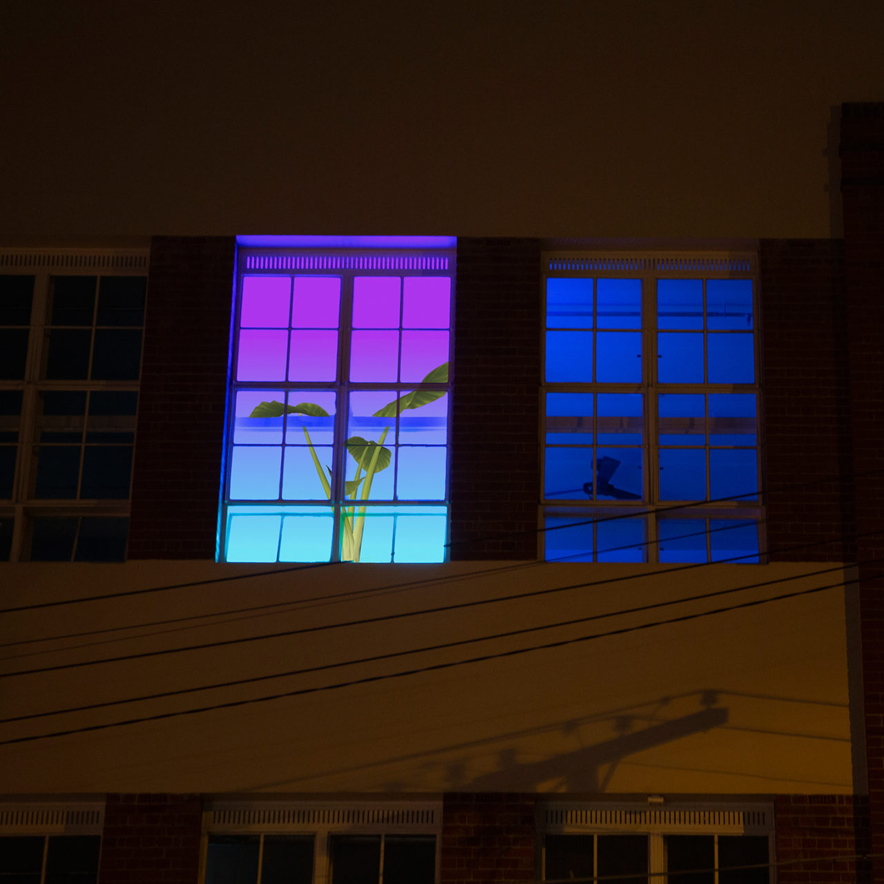 LIGHT WINDOWS – Holocenter